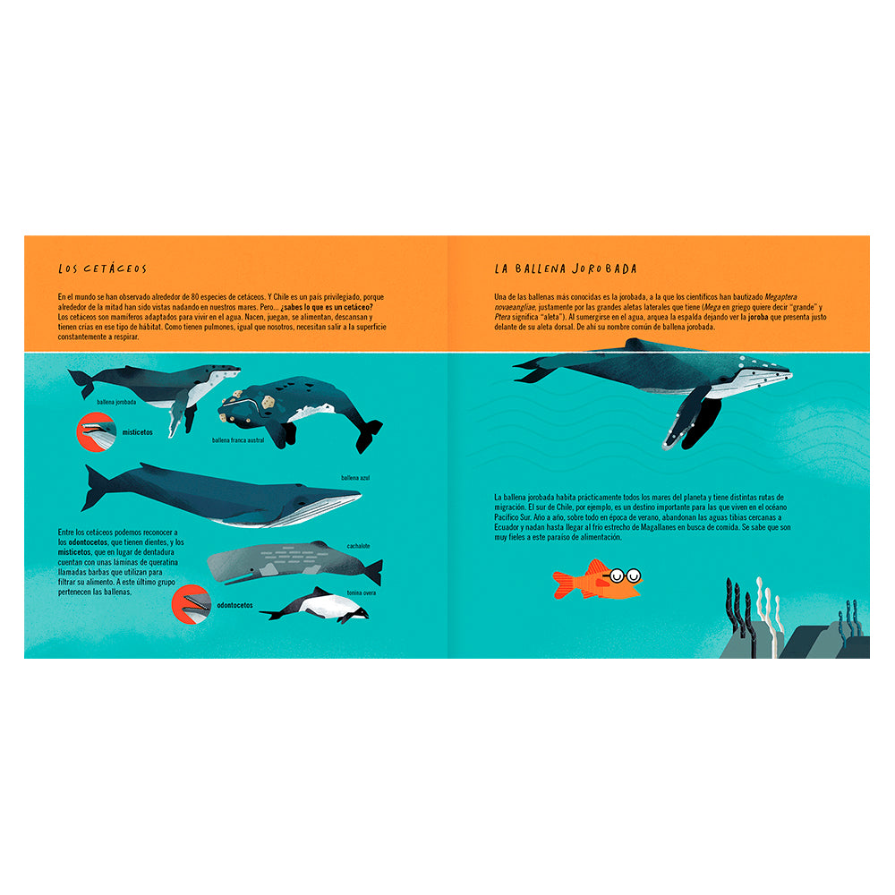 LIBRO La ballena jorobada – Mi Maleta Kids